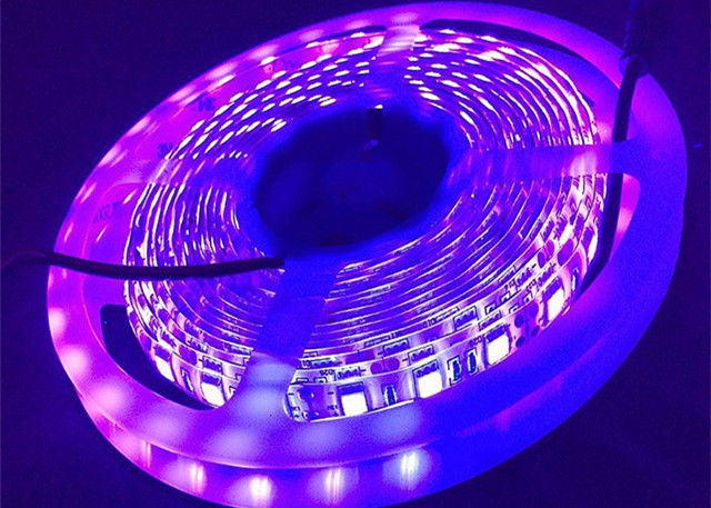 Purple UV 12v 24v Purple Led Light Strip 395nm UV Led Tape 5050 Smd